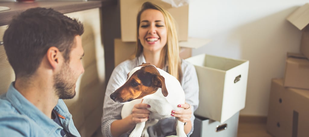 How the Healthy Homes Standards have changed tenancy agreements